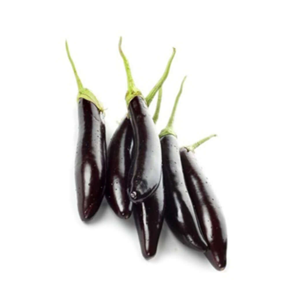 Fresh Ravaya – MD-Store